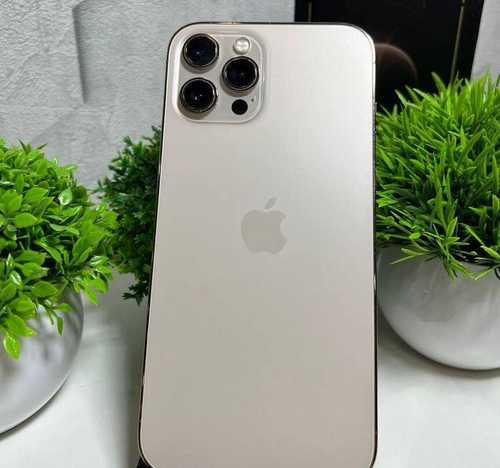 iPhone 12 Pro Max, 256 ГБ