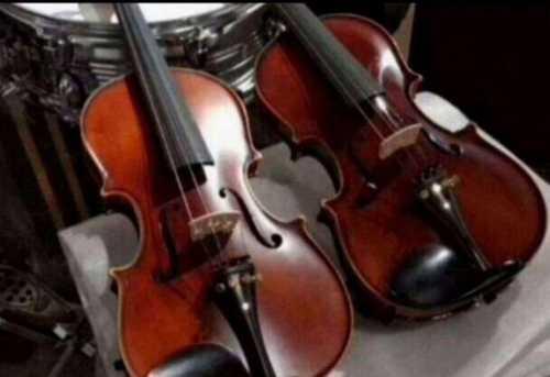 Скрипки Немецкие Массив, все размеры