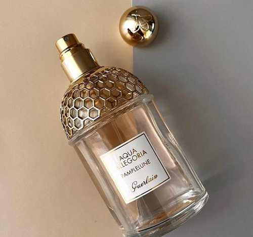 Pampelune Guerlain распив