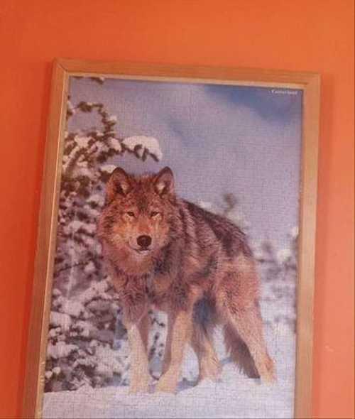 Картина пазлы волк