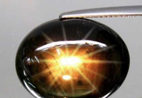29,6 ct Природный звёздчатый сапфир