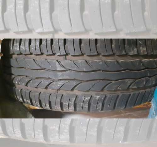 Sava Intensa HP 205/55 R16