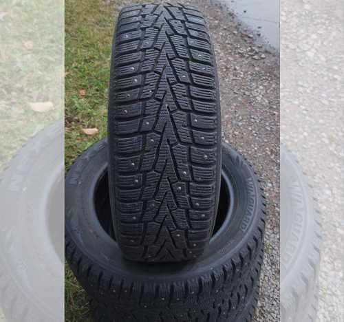 Nexen Winguard WinSpike 205/55 R16