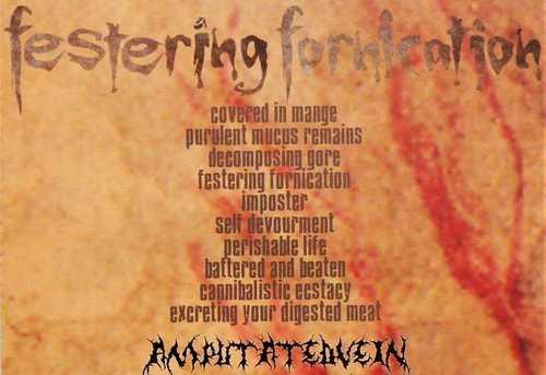 Bloodboil - Festering Fornication CD OBI