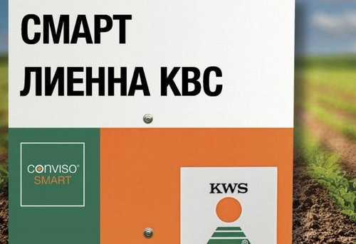 Семена смарт лиенна квс