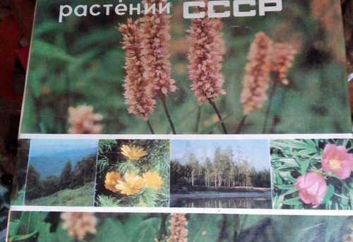 Атлас ареалов и ресурсов лекарствены растений СССР