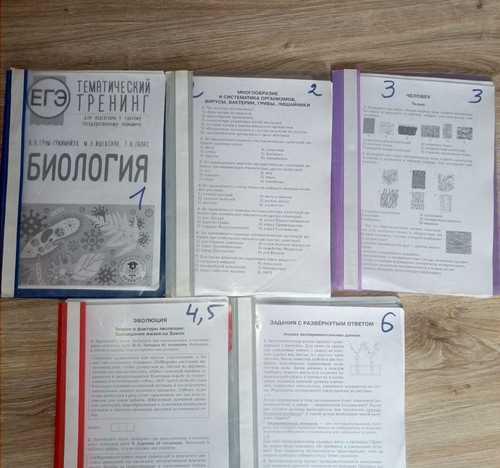 Тренажёр ЕГЭ по биологии