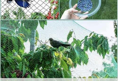 Сетка садовая для зашиты от птиц (4х5 метров)
