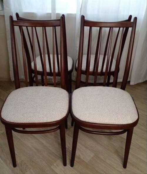 Комплект стульев после реставрации