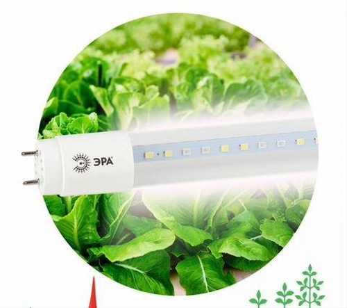Фитолампа для растений светодиодная fito-18W-Ra90