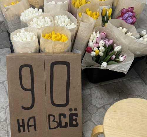 Тюльпаны в розницу 90