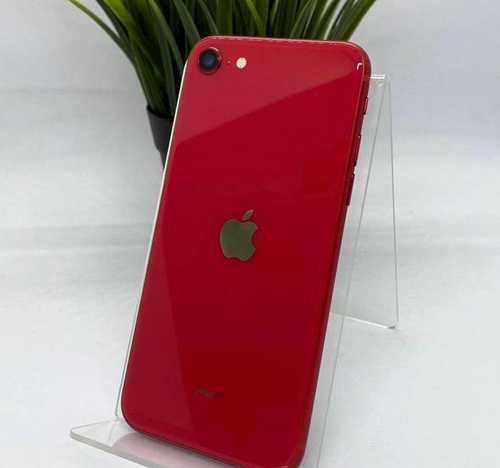 iPhone SE (2020), 256 ГБ