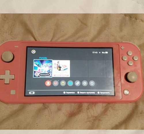 Nintendo switch lite