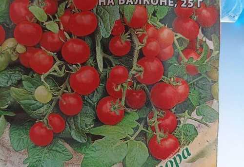 Балконные помидоры