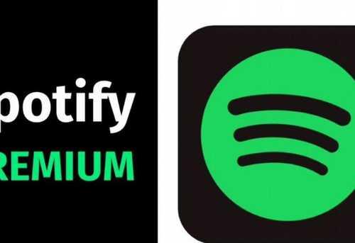 Подписки Spotify Premium 3/6/12 мес