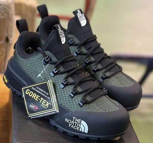 Зимние кроссовки The North Face GTX