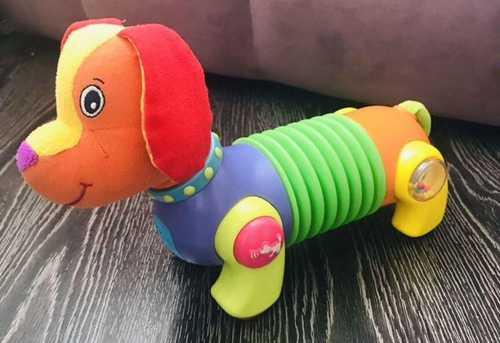 Интерактивная игрушка собачка Фрэди «Догони меня»