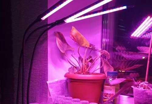 Фитолампа для растений 3 лампы. Новая