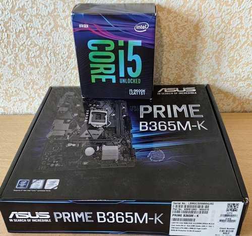 Комплект материнская плата asus B365+ i5 9600k