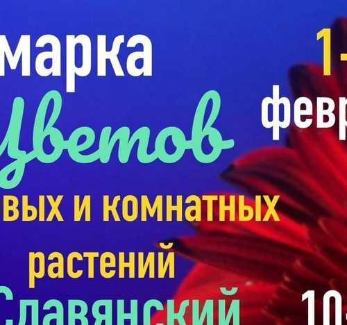 Выставка цветов