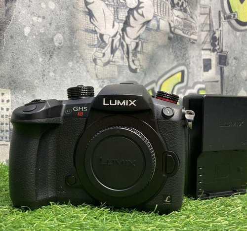 Panasonic Lumix GH5S 4.200 кадров