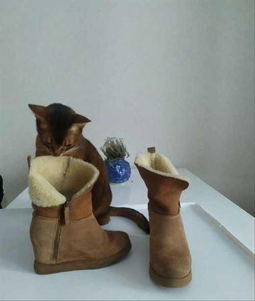 Ugg оригинал