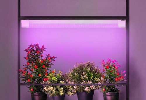 Светильник для растений, фитолампа светодиодная ли