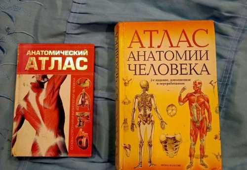 Атлас анатомии человека 2 книги