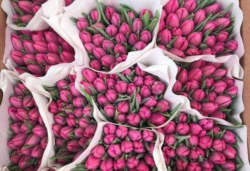 Букет тюльпанов на 8 марта для ваших дам
