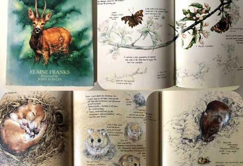 Иллюстрации животных Undercliff дневник природы