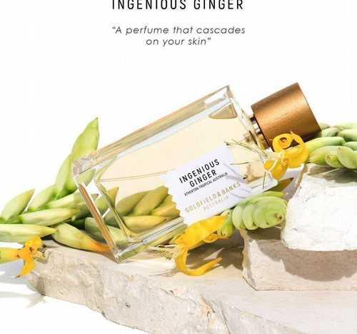 Ingenious Ginger Goldfield & Banks Australia