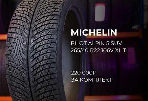 Michelin Pilot Alpin 5 SUV 275/40 R21
