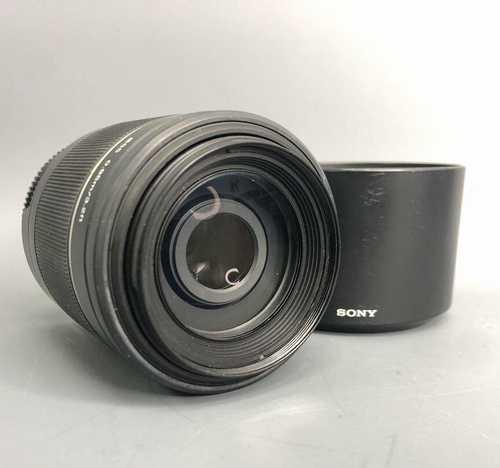 Sony DT 55-200mm 4-5.6 SAM