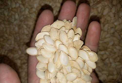 Семена Кабачок (Грибовский 37)