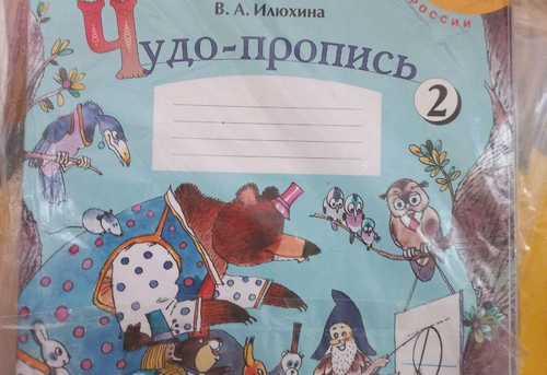 Рабочая тетрадь чудо пропись