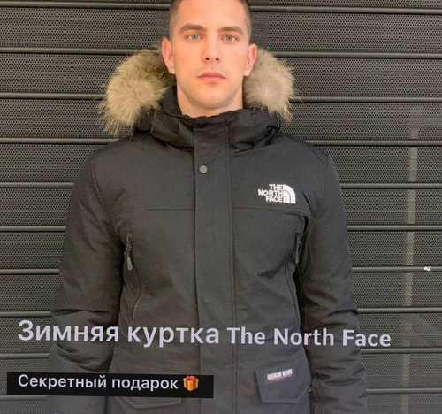 Мужская зимняя куртка TNF