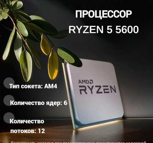 Процессоры Ryzen 5 5600