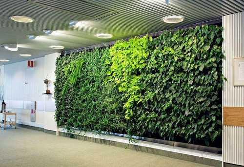 Освежите интерьер: стены из растений. Арт: 215162
