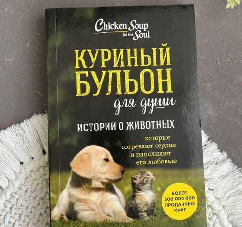 Куриный бульон для души