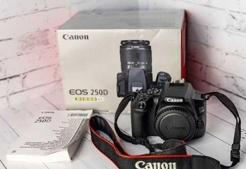 Canon EOS 250D, объектив Canon EF-S 17-55mm f/2.8