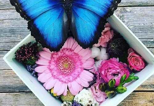 Подарок: Цветы и Живые Бабочки