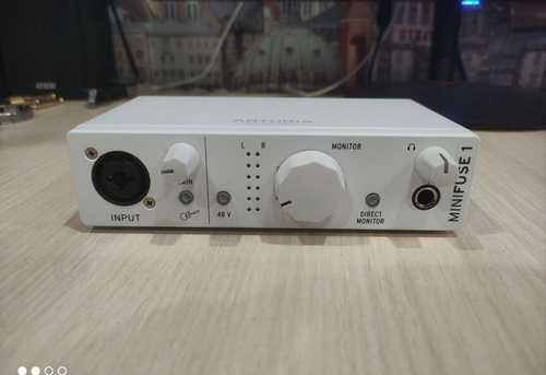 Звуковая карта arturia minifuse 1