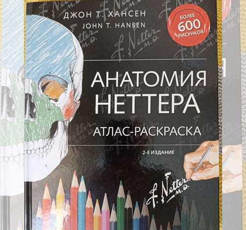 Анатомия Неттера атлас