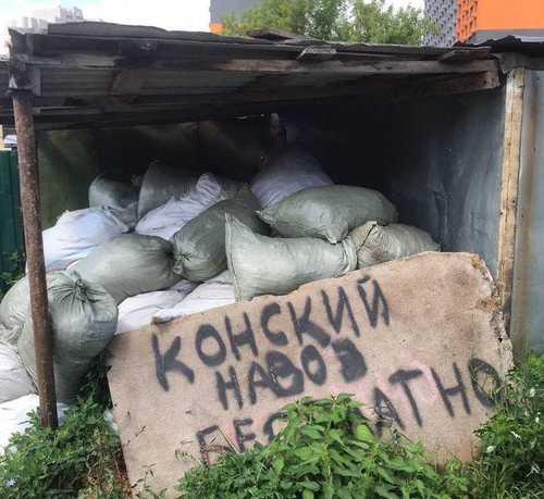 Конский навоз бесплатно