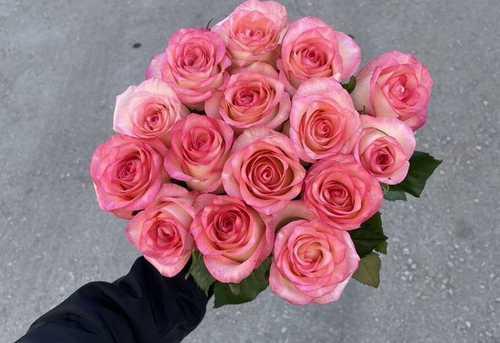 Необычная цветная роза с доставкой от 15 роз 60см