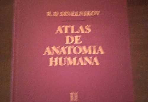 Atlas DE anatomy humana