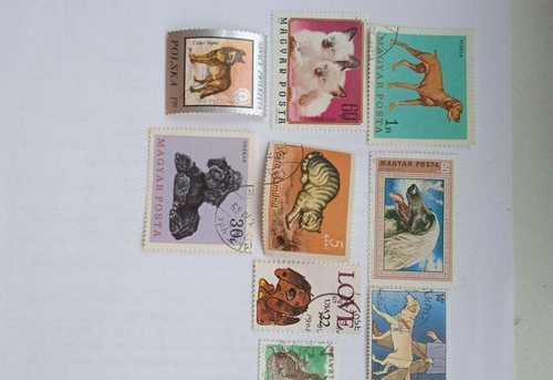 Почтовые марки, кошки, собаки