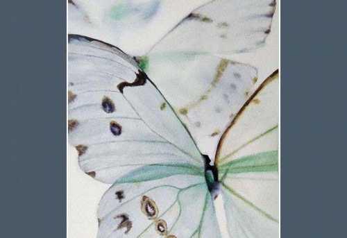 Картина акварель "Бабочки"