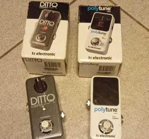 Tc electronic polytune ditto