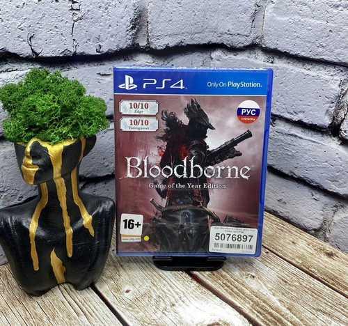 Bloodborne game of the year edition ps4 новый